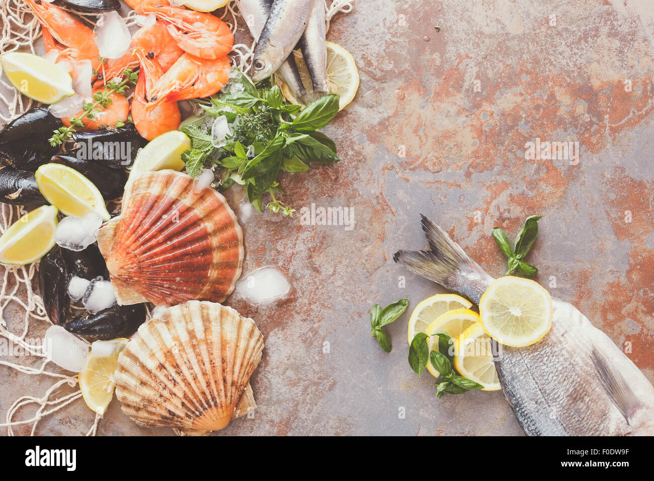 Fresh seafood. Selection of fresh raw seafood on net, top view Stock ...