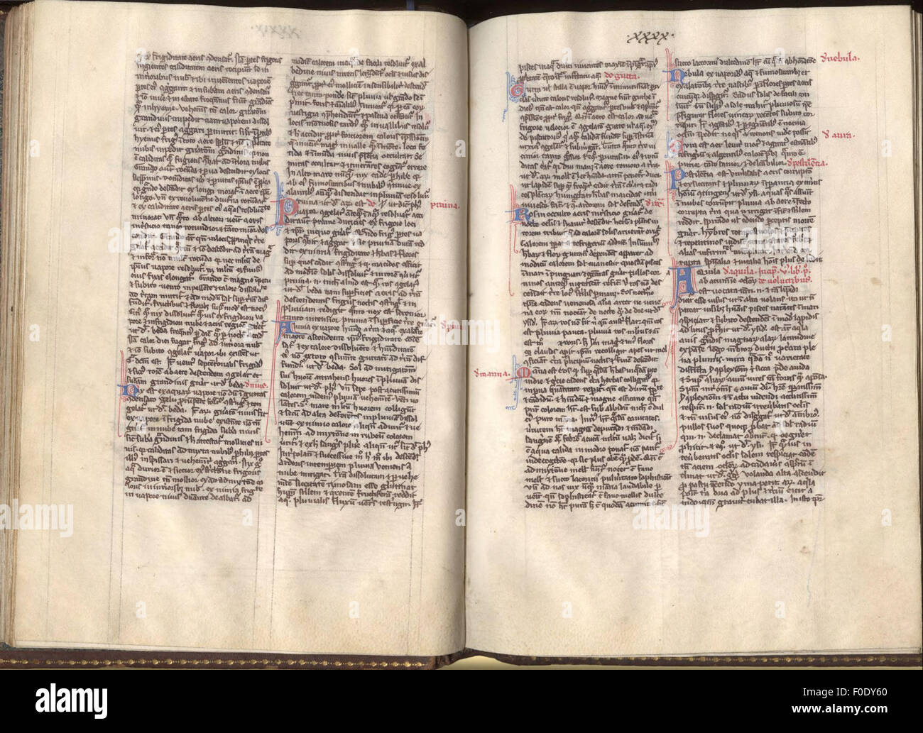 'De Proprietatibus Rerum' is a 13th-century encyclopedia by ...