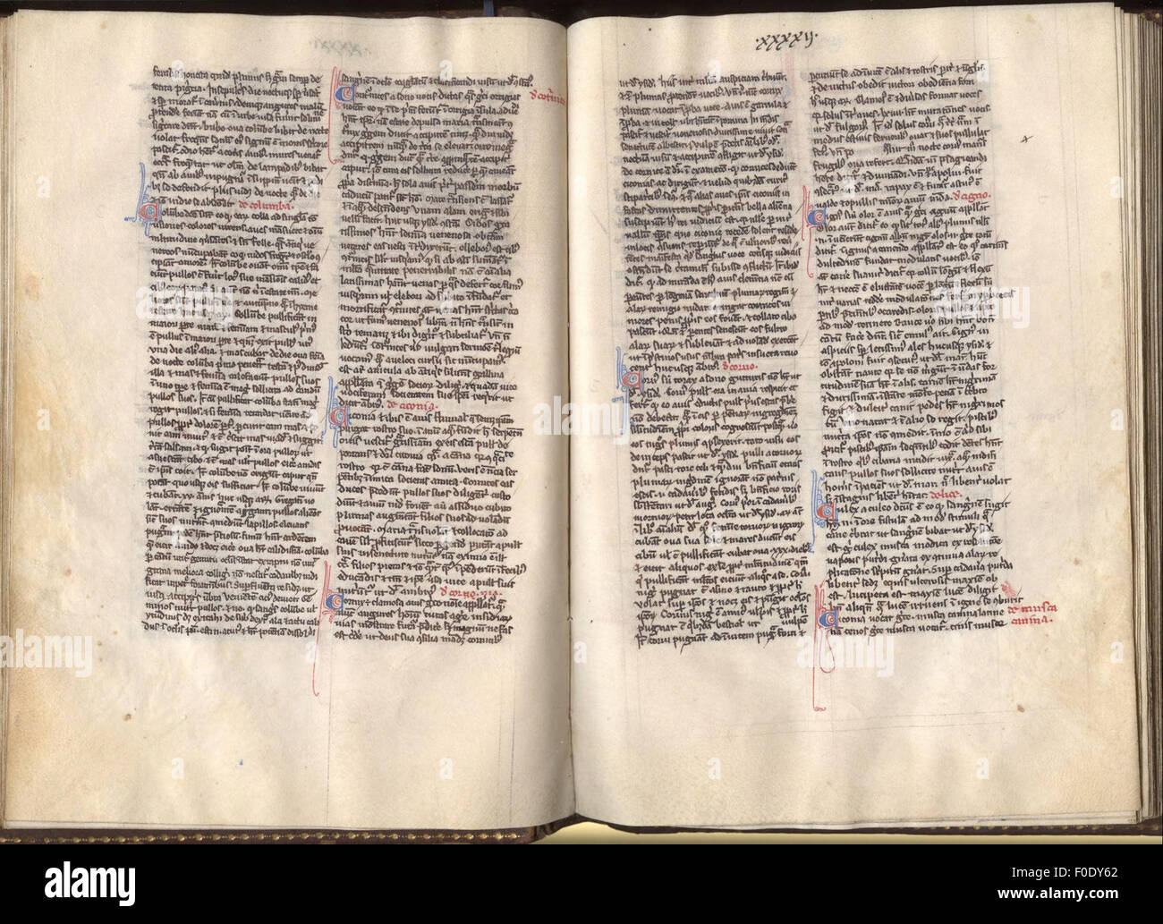 'De Proprietatibus Rerum' is a medieval text by Bartholomaeus Anglicus ...