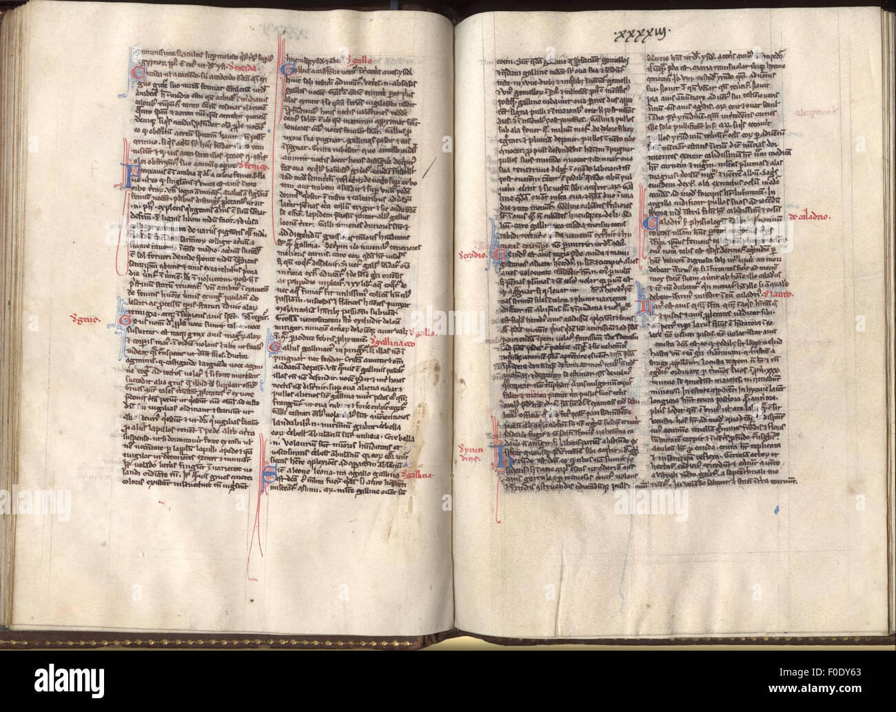 De Proprietatibus Rerum, written by Bartholomaeus Anglicus, is a ...