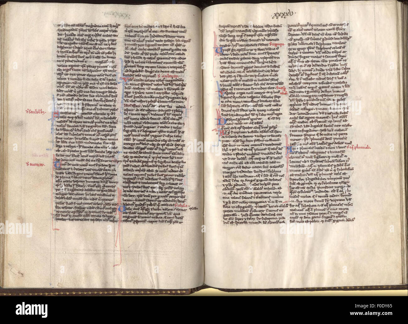 De Proprietatibus Rerum is a medieval text written by Bartholomaeus ...