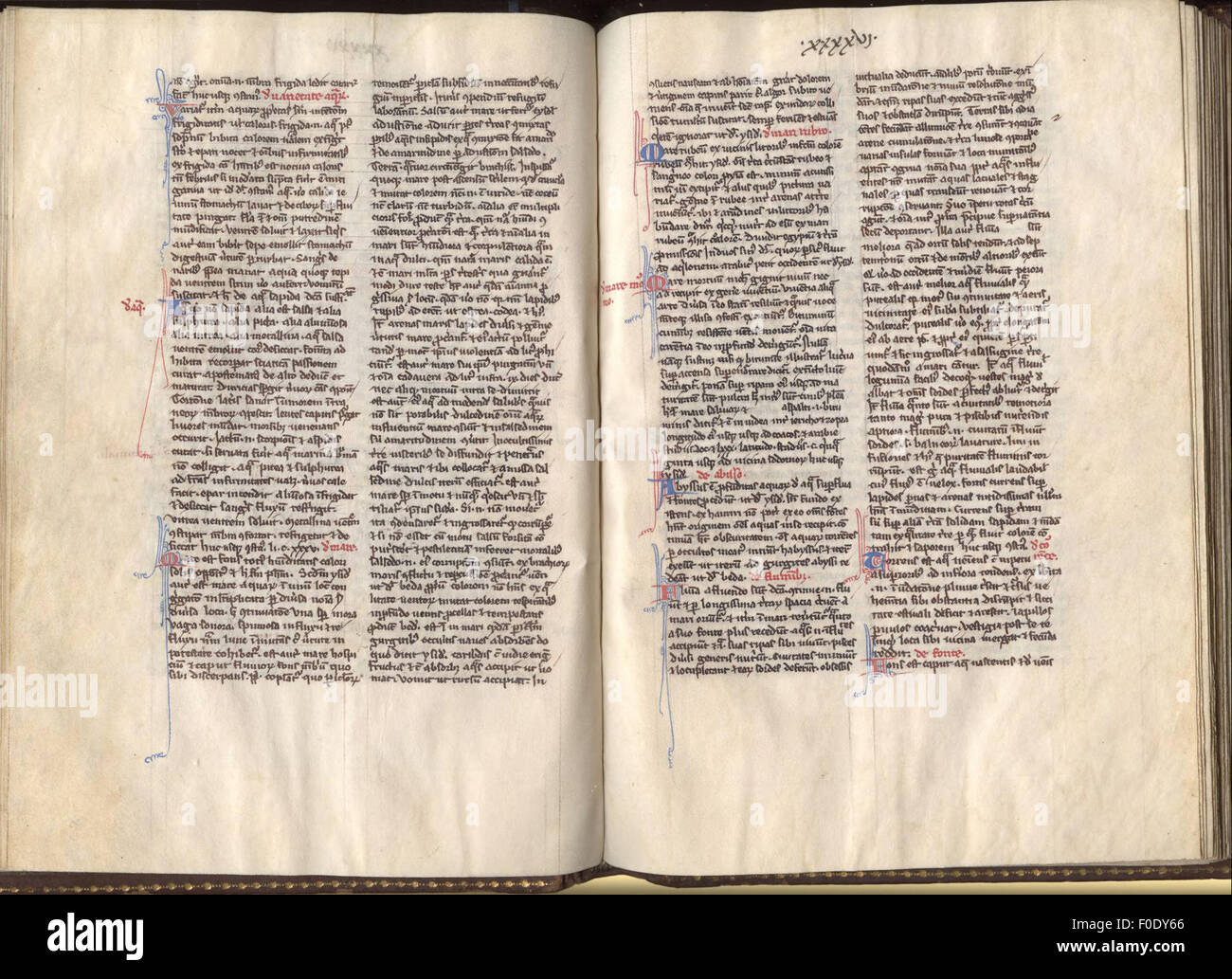 *De Proprietatibus Rerum* by Bartholomaeus Anglicus is a 13th-century ...