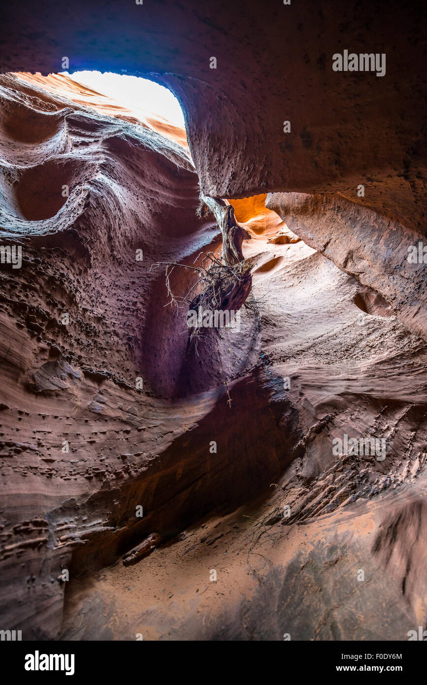 Spooky Gulch Short Canyon Grand Staircase-Escalante Stock Photo - Alamy