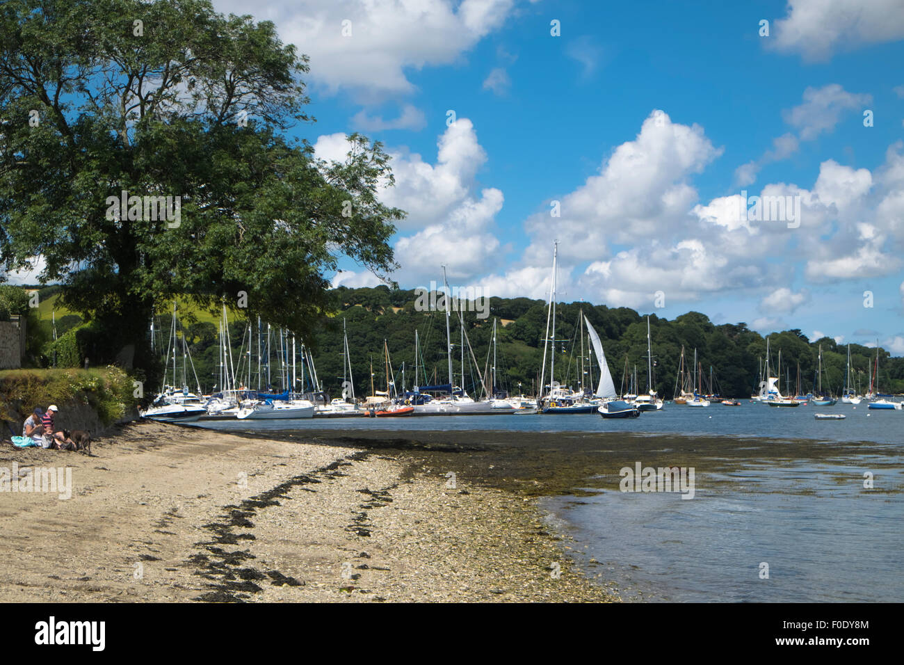 Mylor Yacht Harbour Falmouth Cornwall England UK Stock Photo - Alamy