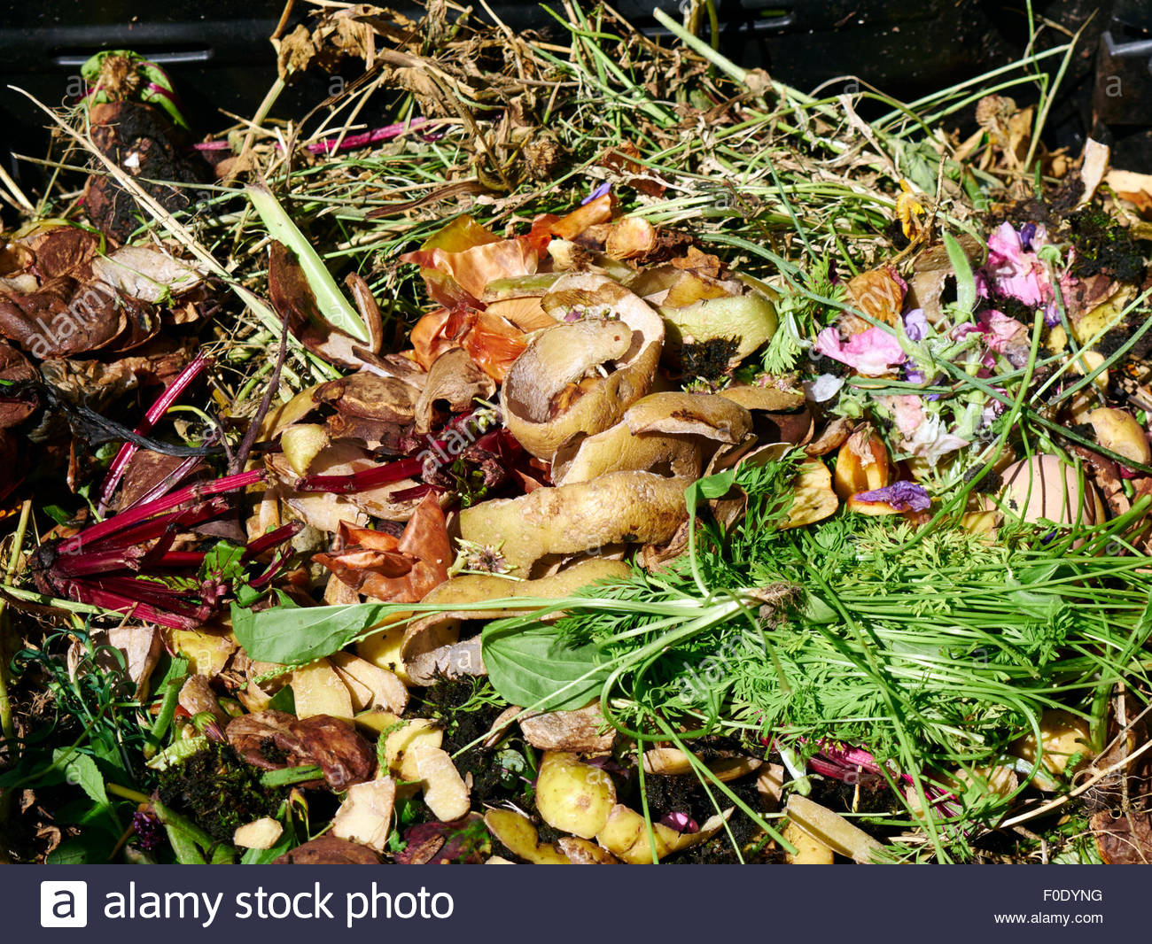 Recycling Food Waste Stock Photos & Recycling Food Waste Stock Images ...