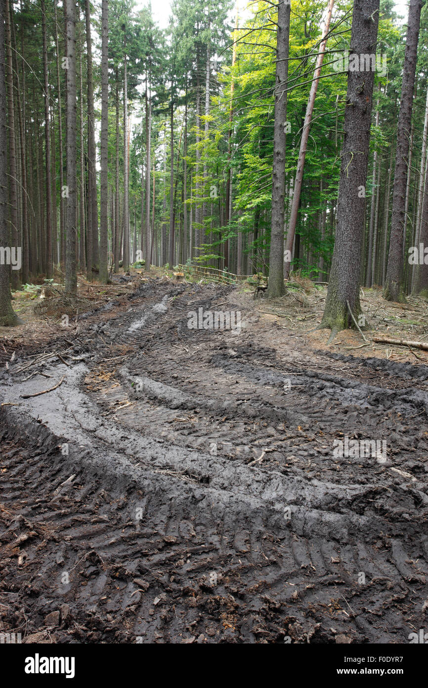 Muddy track hi-res stock photography and images - Alamy