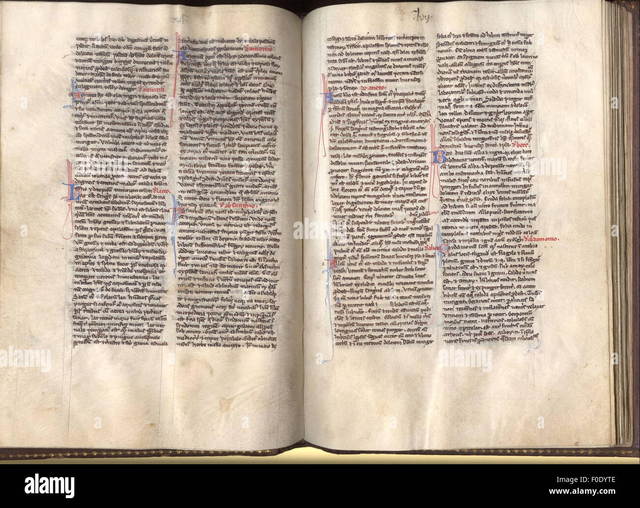 *De Proprietatibus Rerum* by Bartholomaeus Anglicus is a medieval text ...