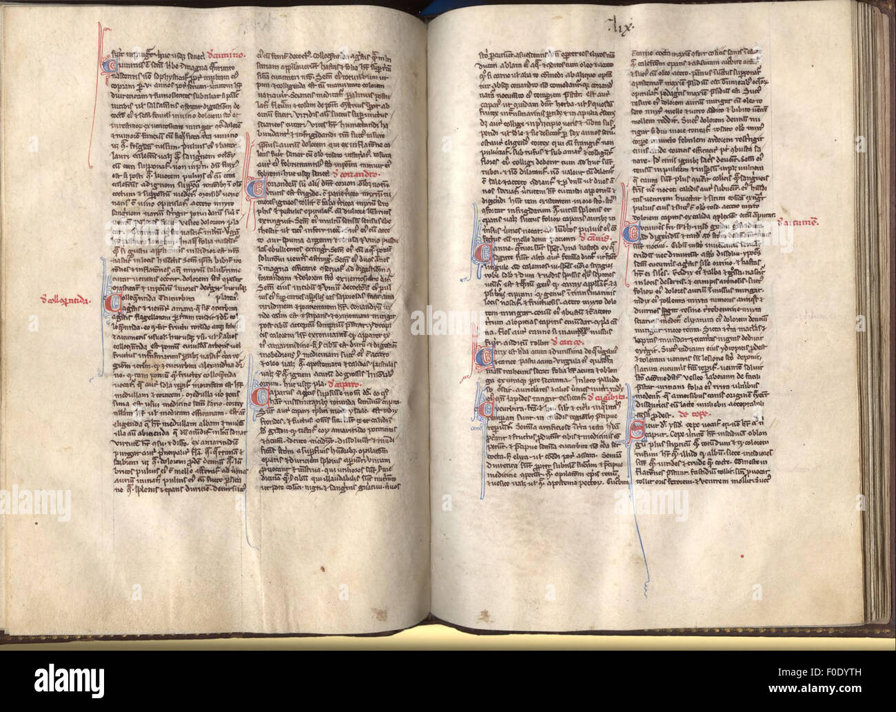 'De Proprietatibus Rerum' is a 13th-century text by Bartholomaeus ...