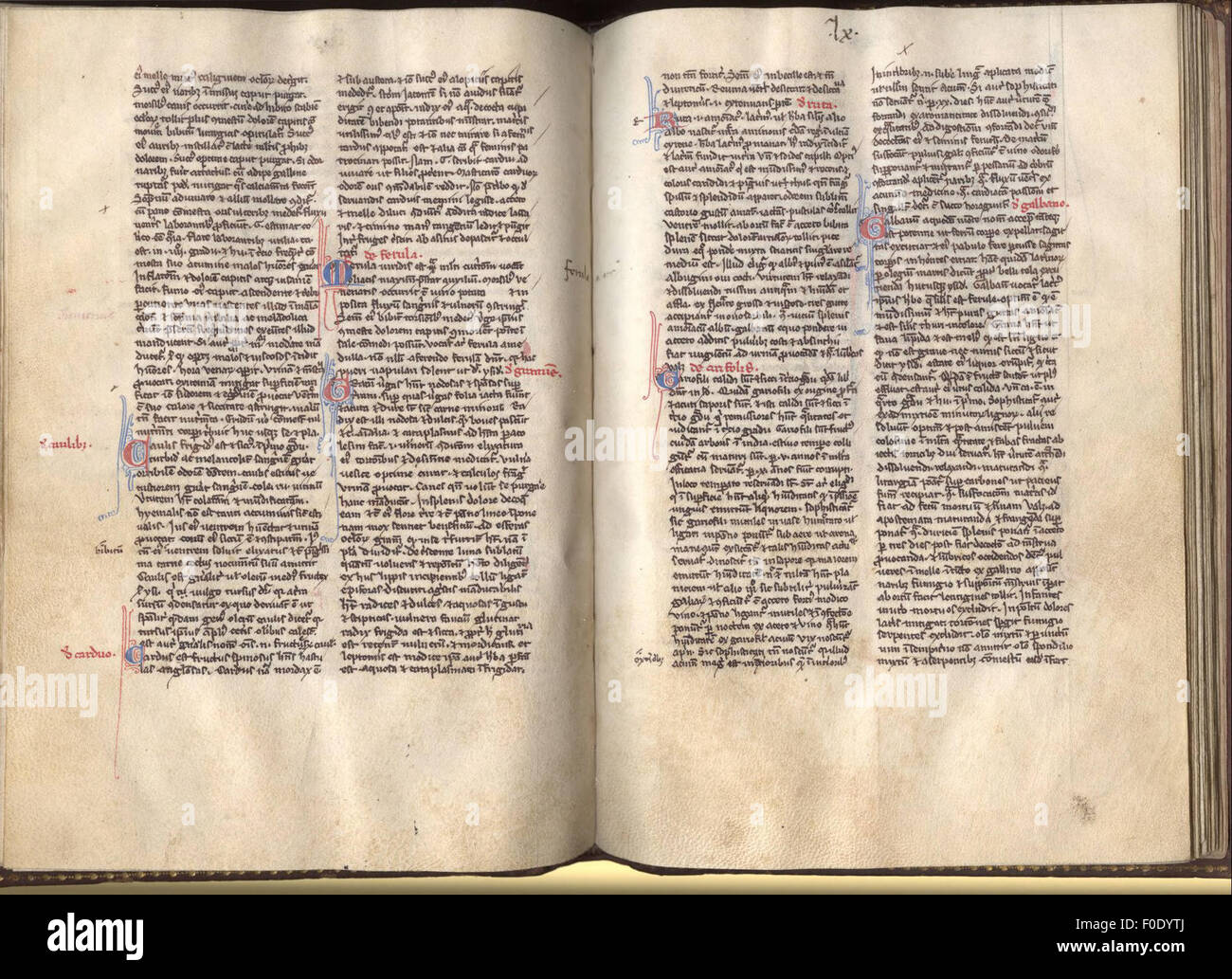 De Proprietatibus Rerum, written by Bartholomaeus Anglicus, is a 13th ...