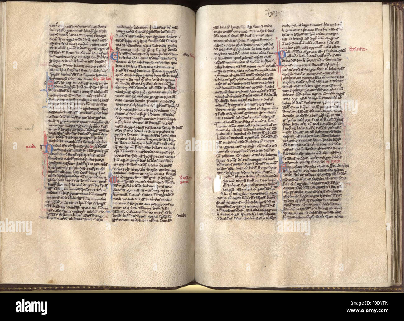 'De Proprietatibus Rerum' is a medieval encyclopedia compiled by ...