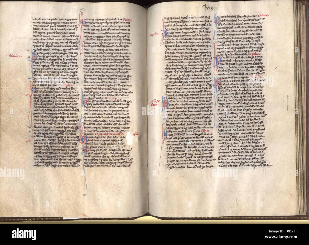 De Proprietatibus Rerum, written by the medieval scholar Bartholomaeus ...