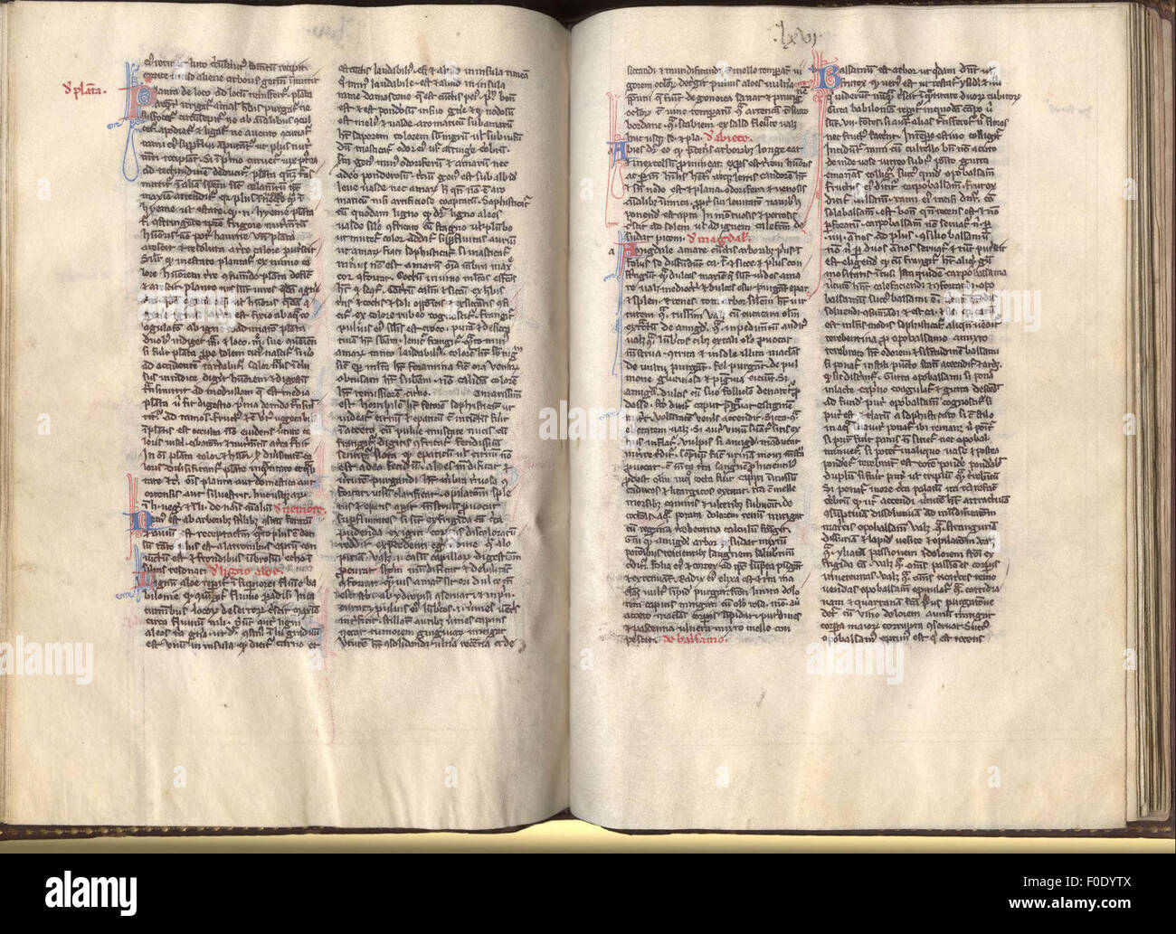 De Proprietatibus Rerum, written by Bartholomaeus Anglicus, is a 13th ...