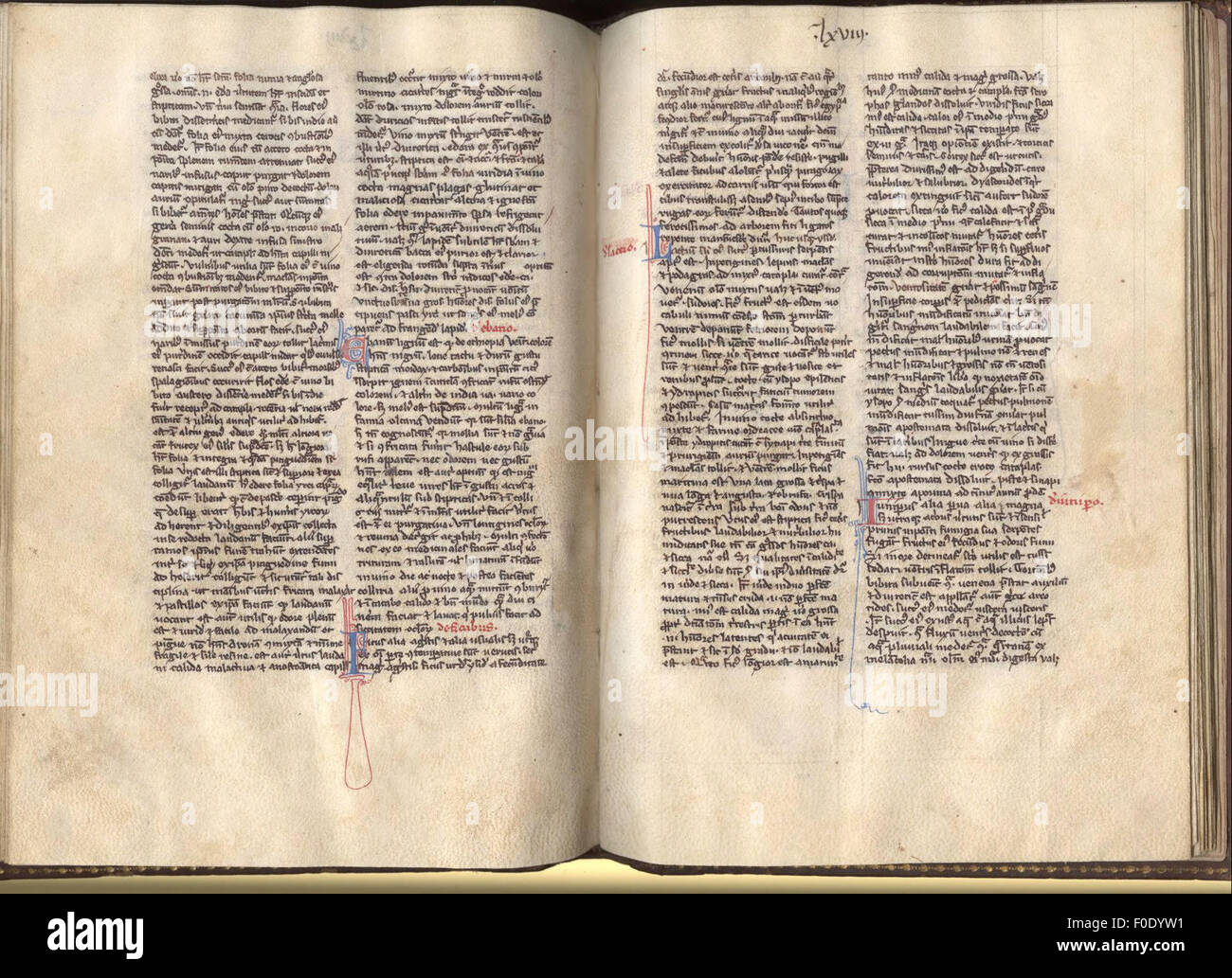'De Proprietatibus Rerum' is a 13th-century encyclopedic work by ...