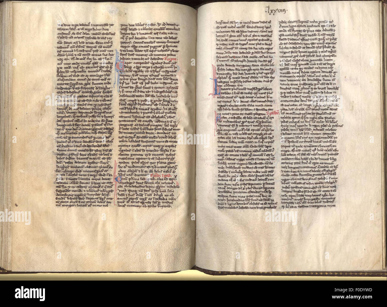 De Proprietatibus Rerum, written by Bartholomaeus Anglicus in the 13th ...