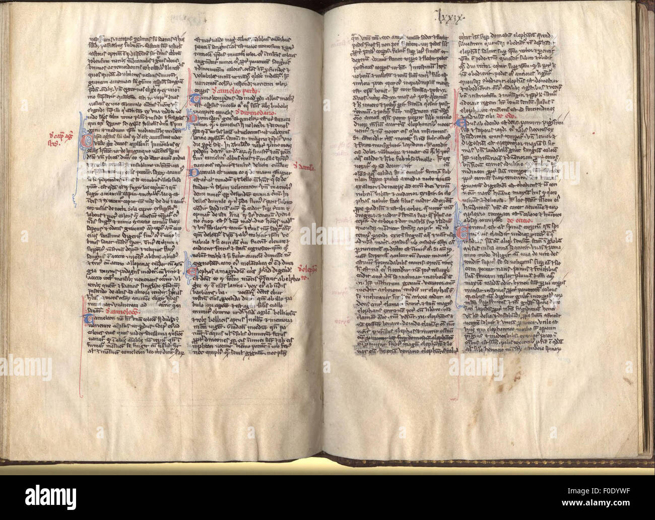 De Proprietatibus Rerum, written by Bartholomaeus Anglicus, is a ...
