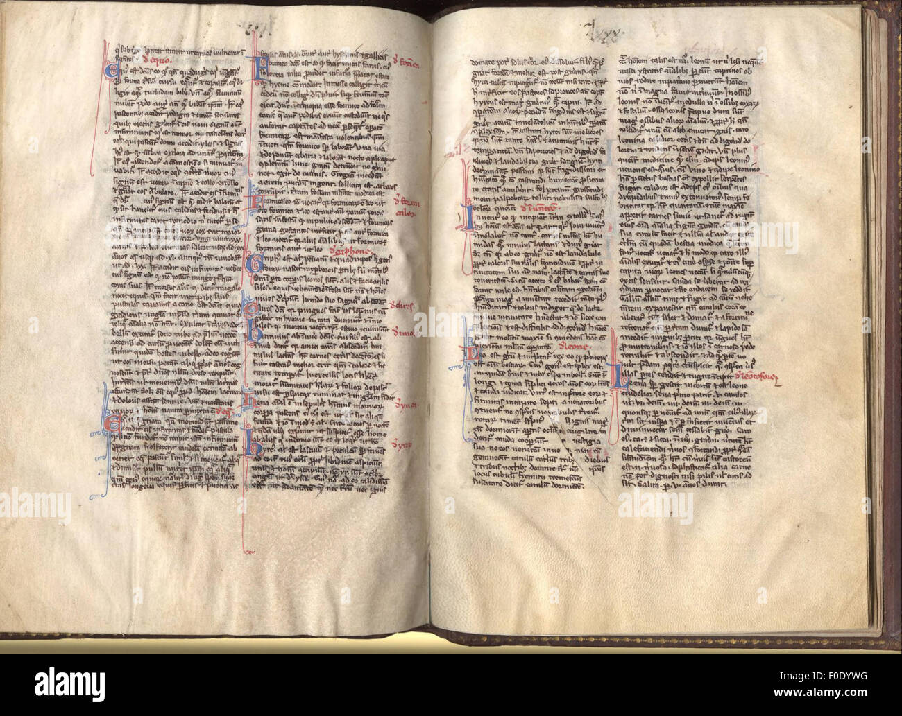 De Proprietatibus Rerum is a comprehensive medieval text by ...