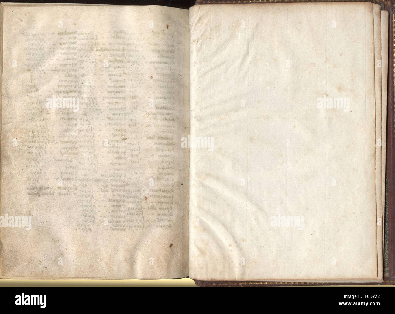 De Proprietatibus Rerum (On the Properties of Things Stock Photo - Alamy