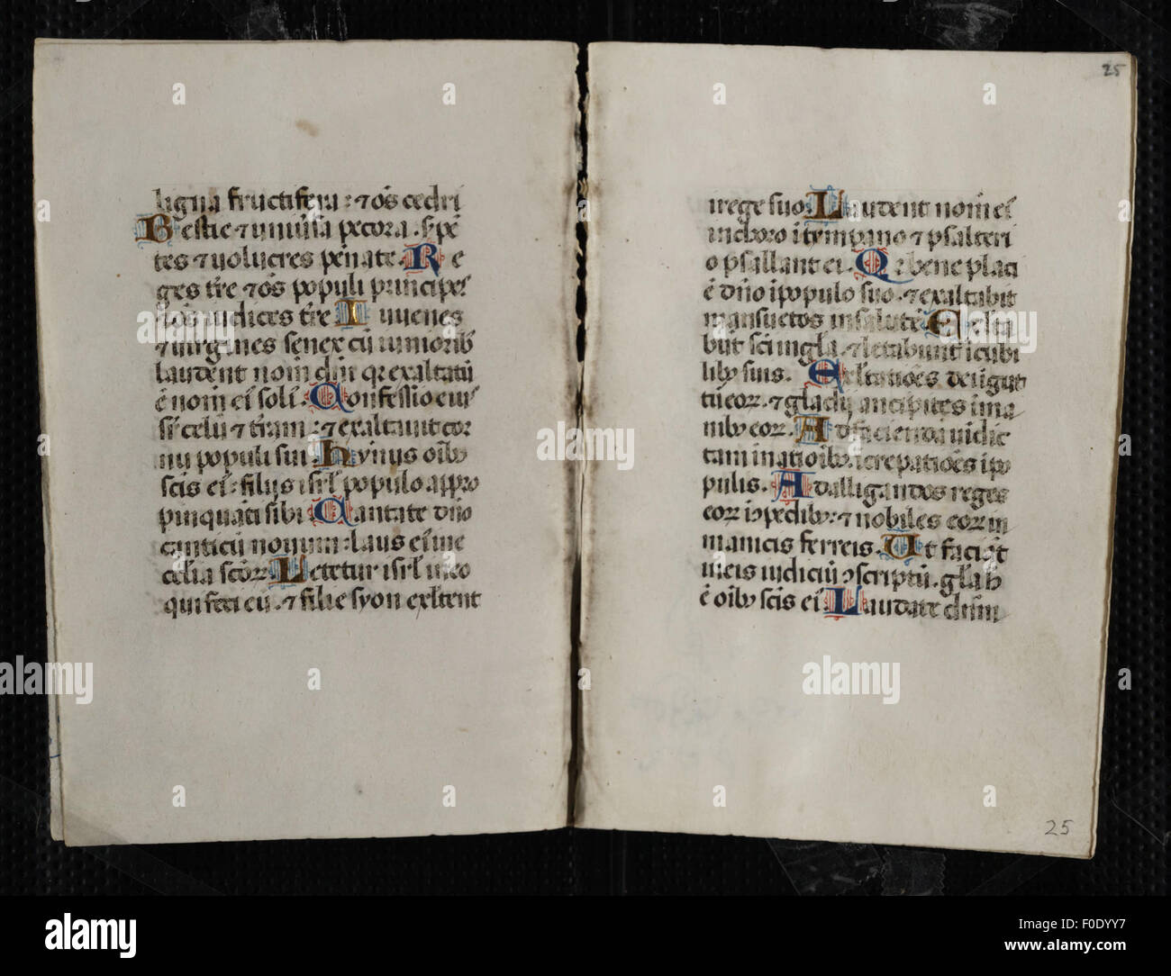 The 'Codex Pollick' is a historical Book of Hours, an illuminated ...