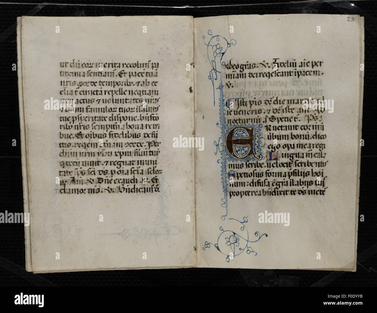 The Codex Pollick, a Book of Hours, is an illuminated manuscript from ...
