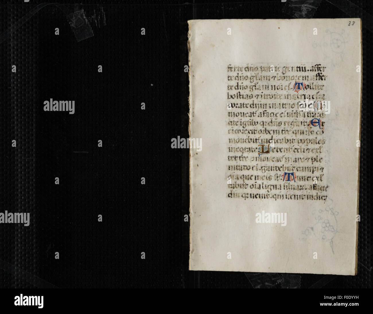 The Codex Pollick, also known as the Book of Hours, is an illuminated ...