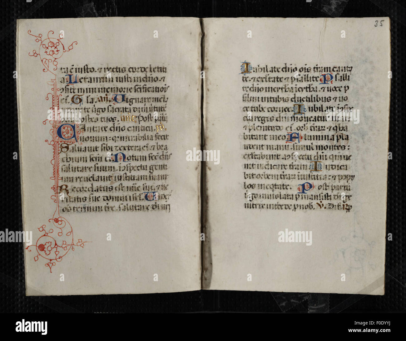 The Codex Pollick, or Book of Hours, is a medieval manuscript typically ...