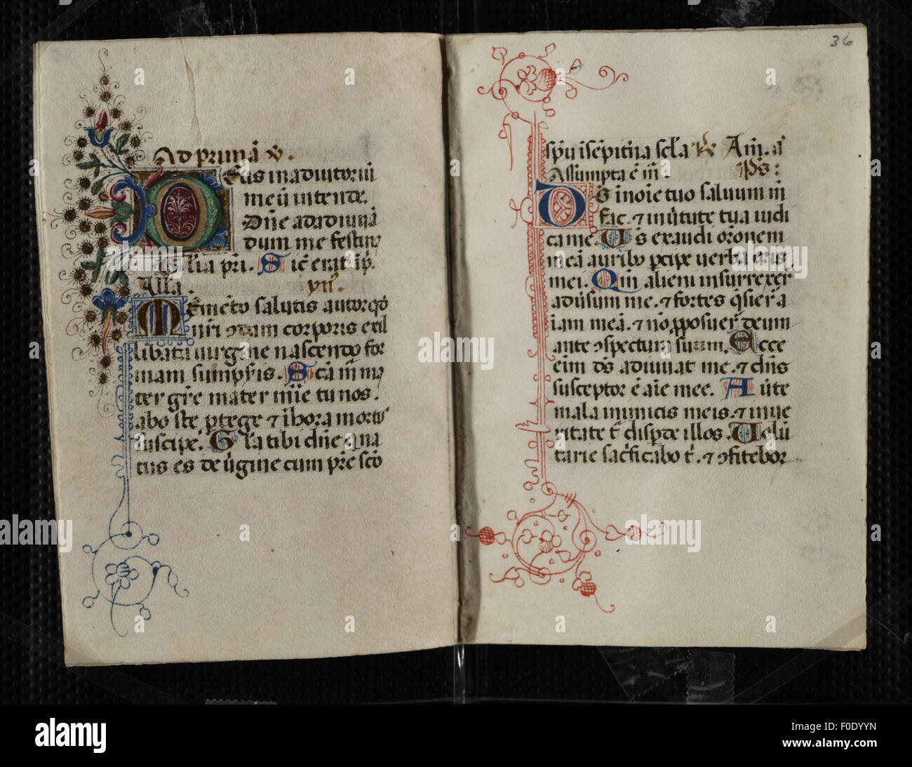 The 'Codex Pollick,' or Book of Hours, is a medieval manuscript used in ...