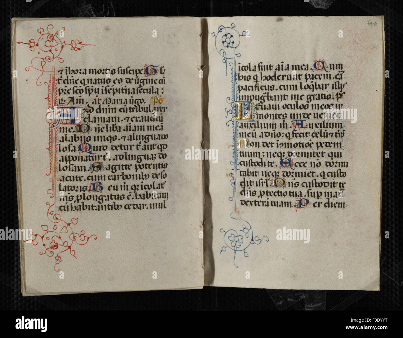 The Codex Pollick is a medieval illuminated manuscript, featuring ...