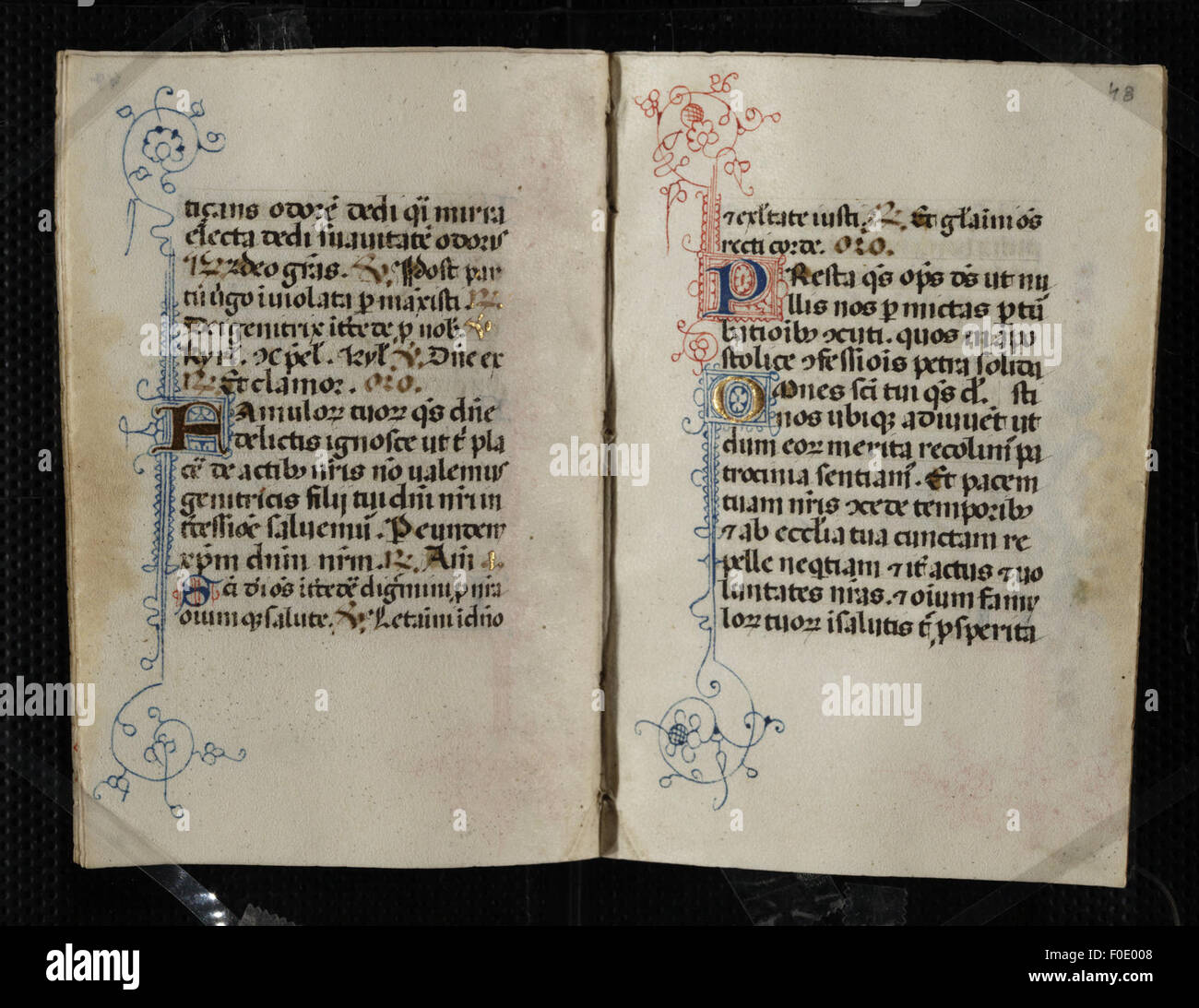 The Codex Pollick is a 15th-century illuminated manuscript that ...