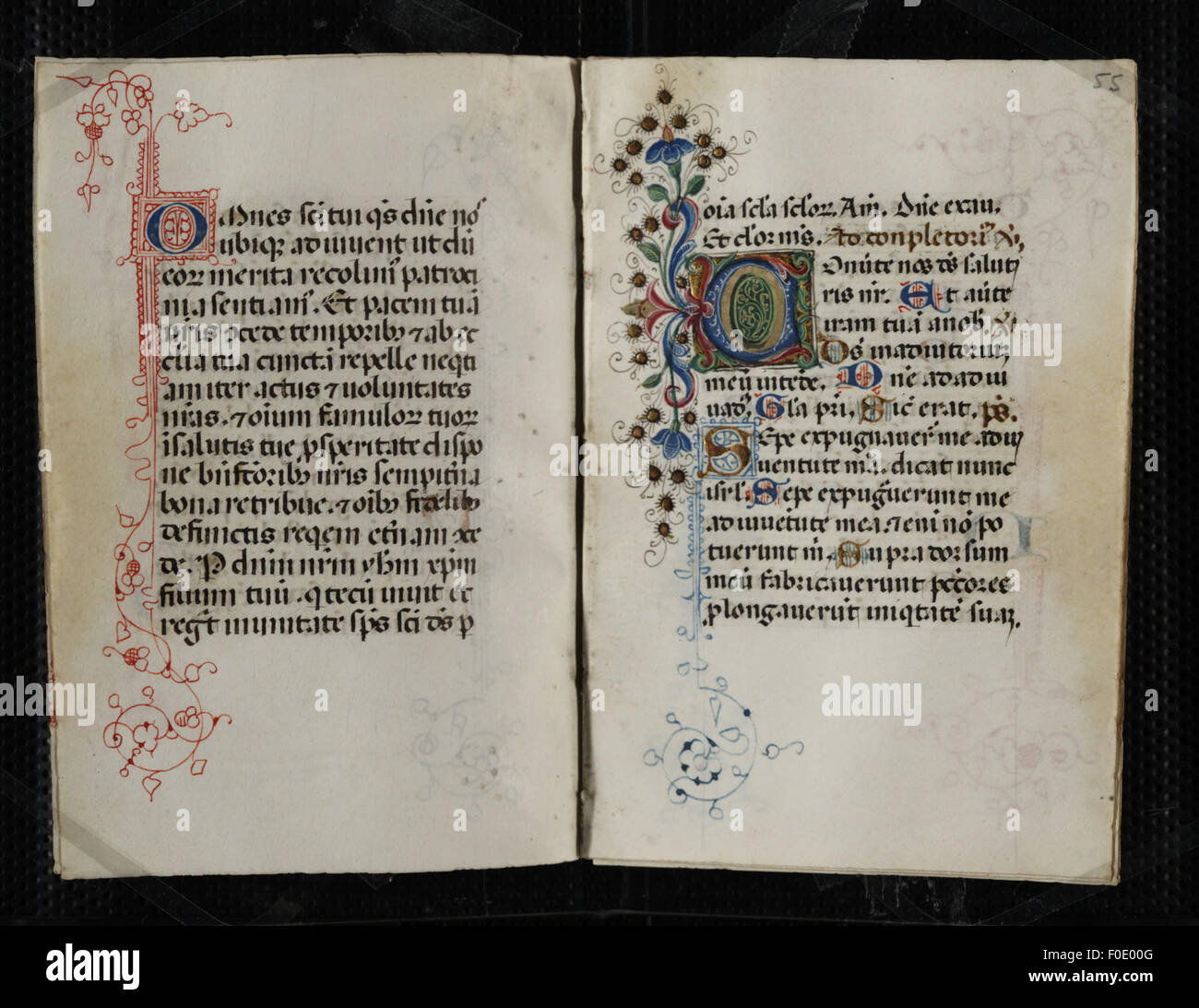 The Codex Pollick is a medieval illuminated manuscript, showcasing ...