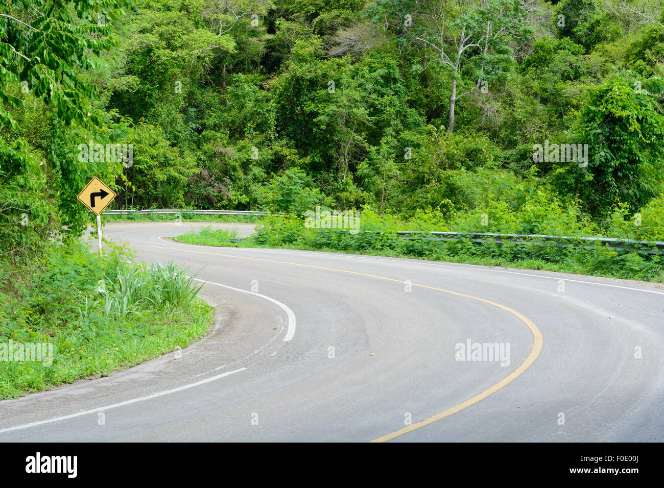 Asphalt roads in the forest and turn left and right Stock Photo - Alamy