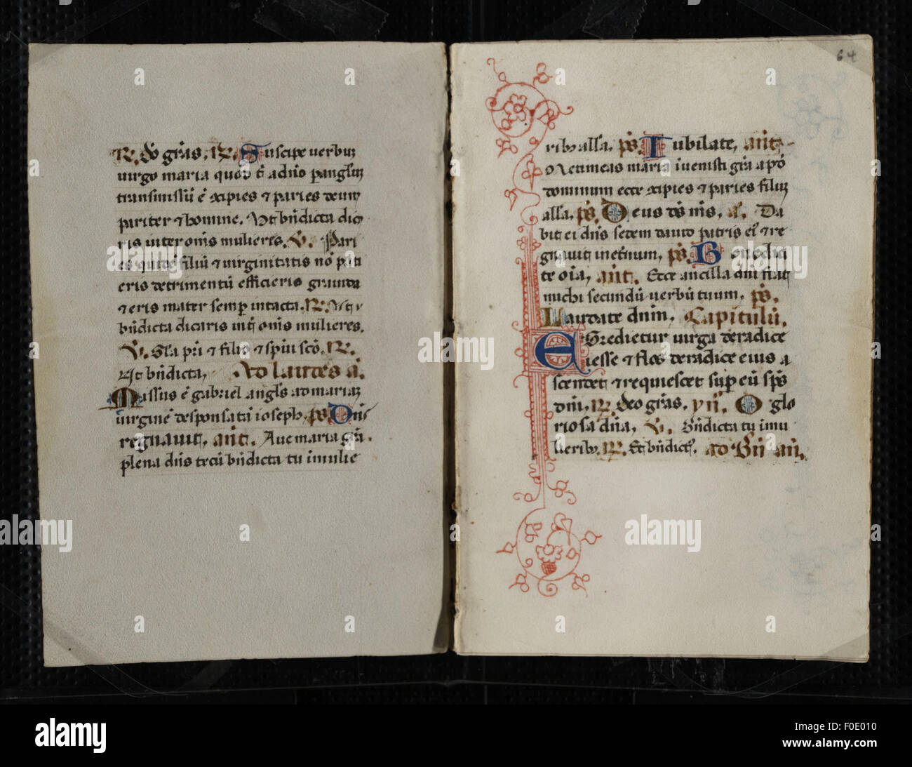The Codex Pollick, a beautifully illustrated Book of Hours, is a ...