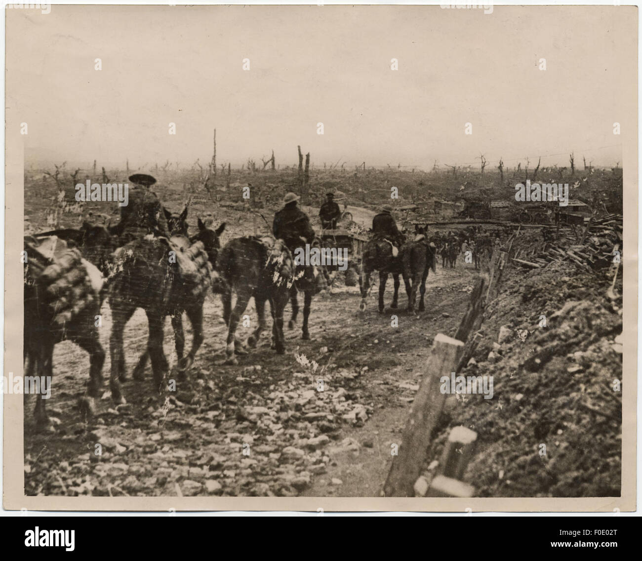 A historic event marking the fall of a royal family or monarchy. This ...