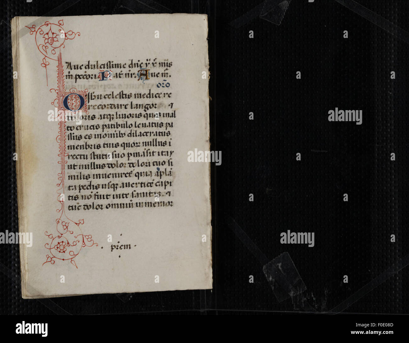 A fragment from the Codex Pollick, a Book of Hours, depicting medieval ...