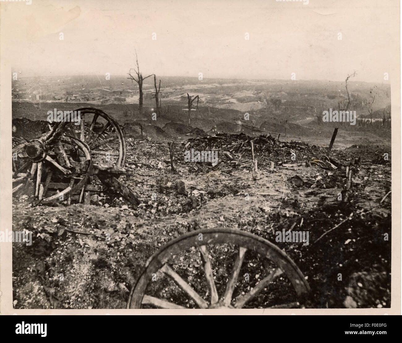 Somme battlefield photograph hi-res stock photography and images - Alamy