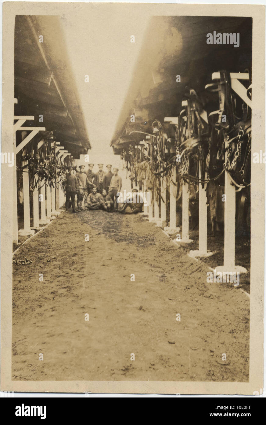 The stables at Witley are part of the Witley Park estate in Surrey ...