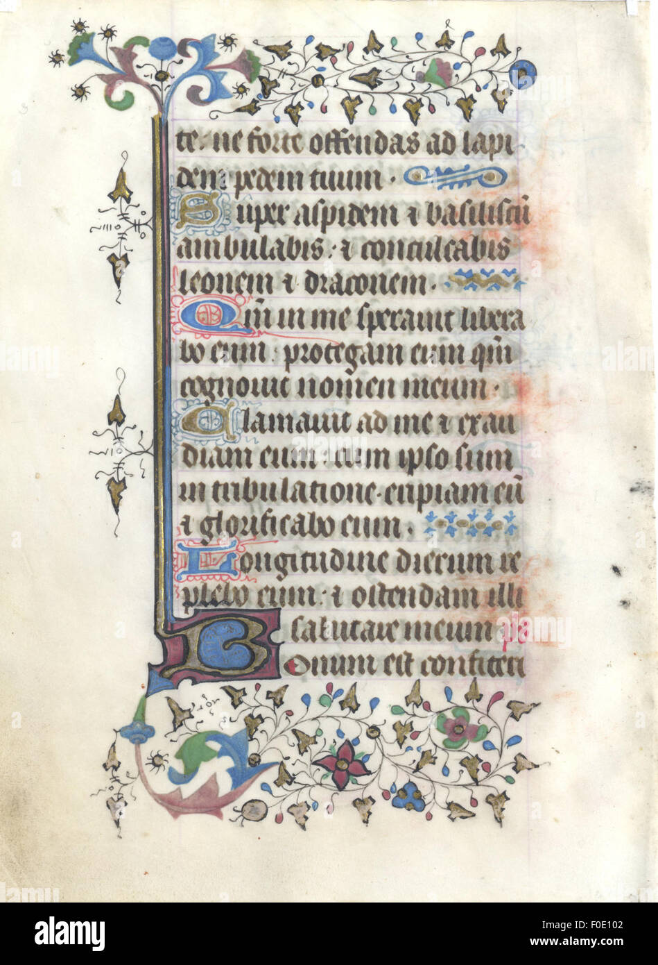 A folium, or leaf, from a medieval psalter, showcasing a fragment of ...
