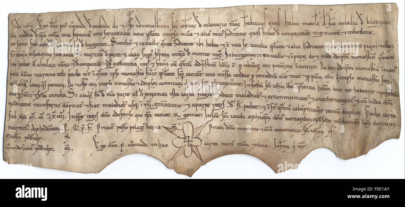 A historical grant document issued to Petrus Veremudi, likely relating ...