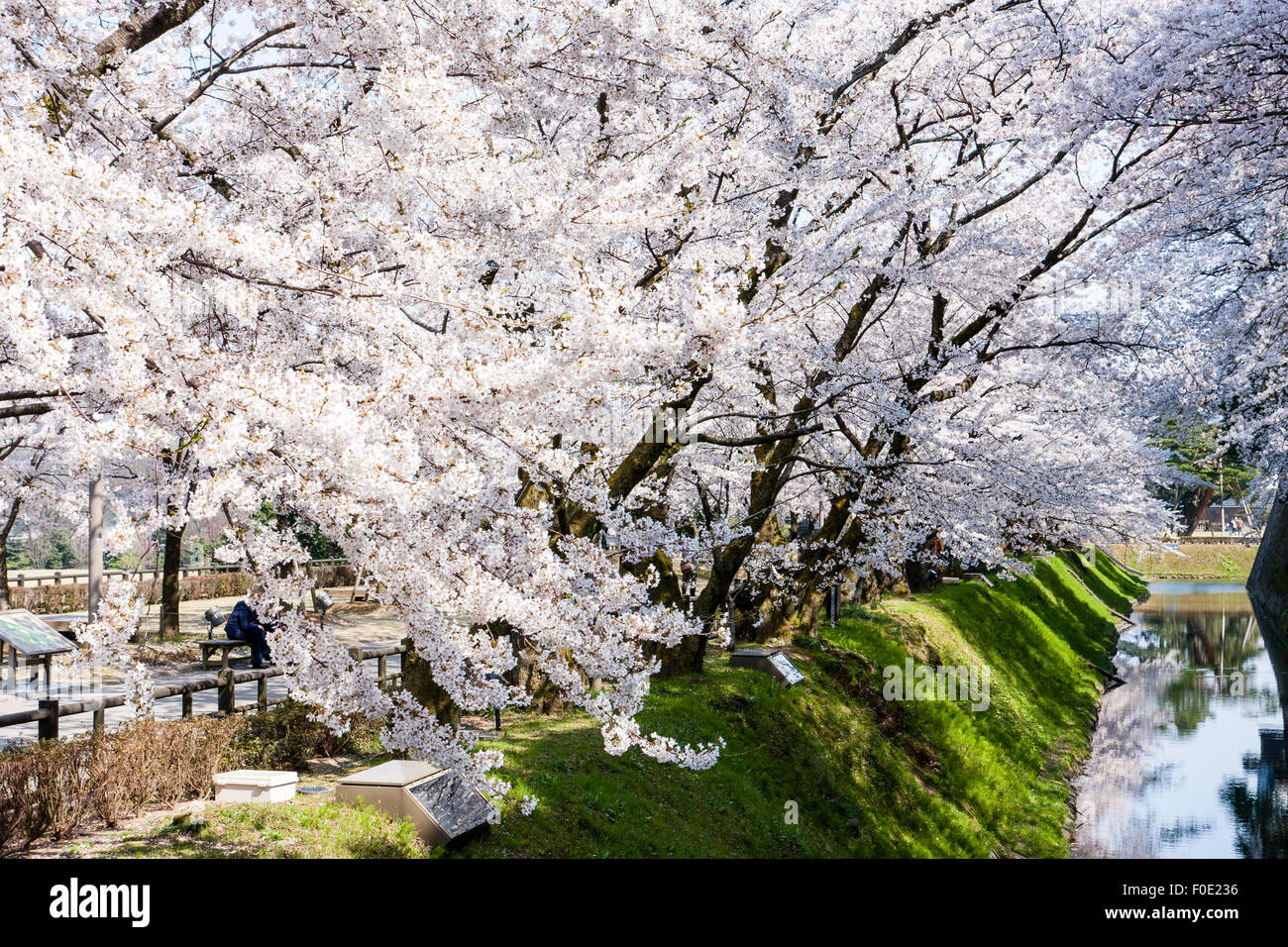 Japan, Kanazawa Castle Park. Shissei-en, the water garden. Row of ...