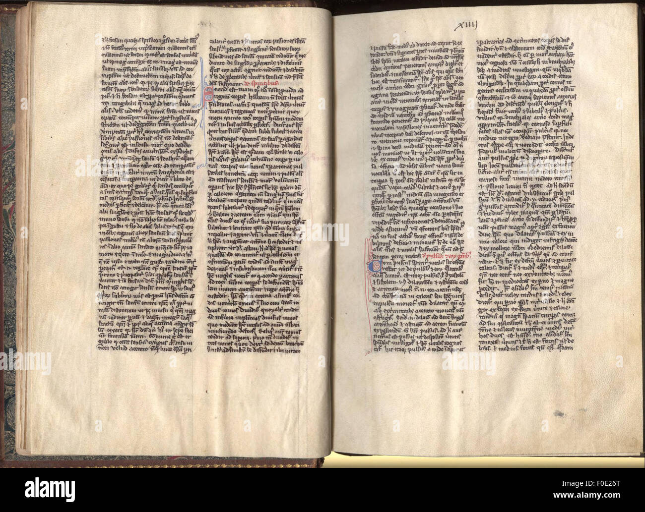 De Proprietatibus Rerum, written by Bartholomaeus Anglicus, is a ...