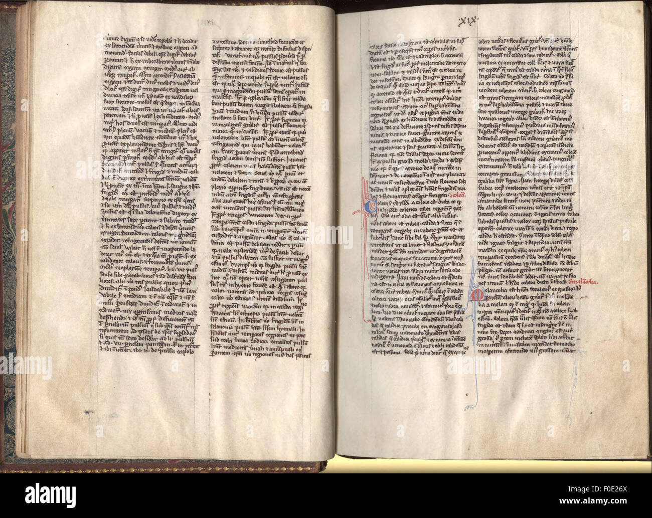 'De Proprietatibus Rerum,' a medieval work by Bartholomaeus Anglicus ...