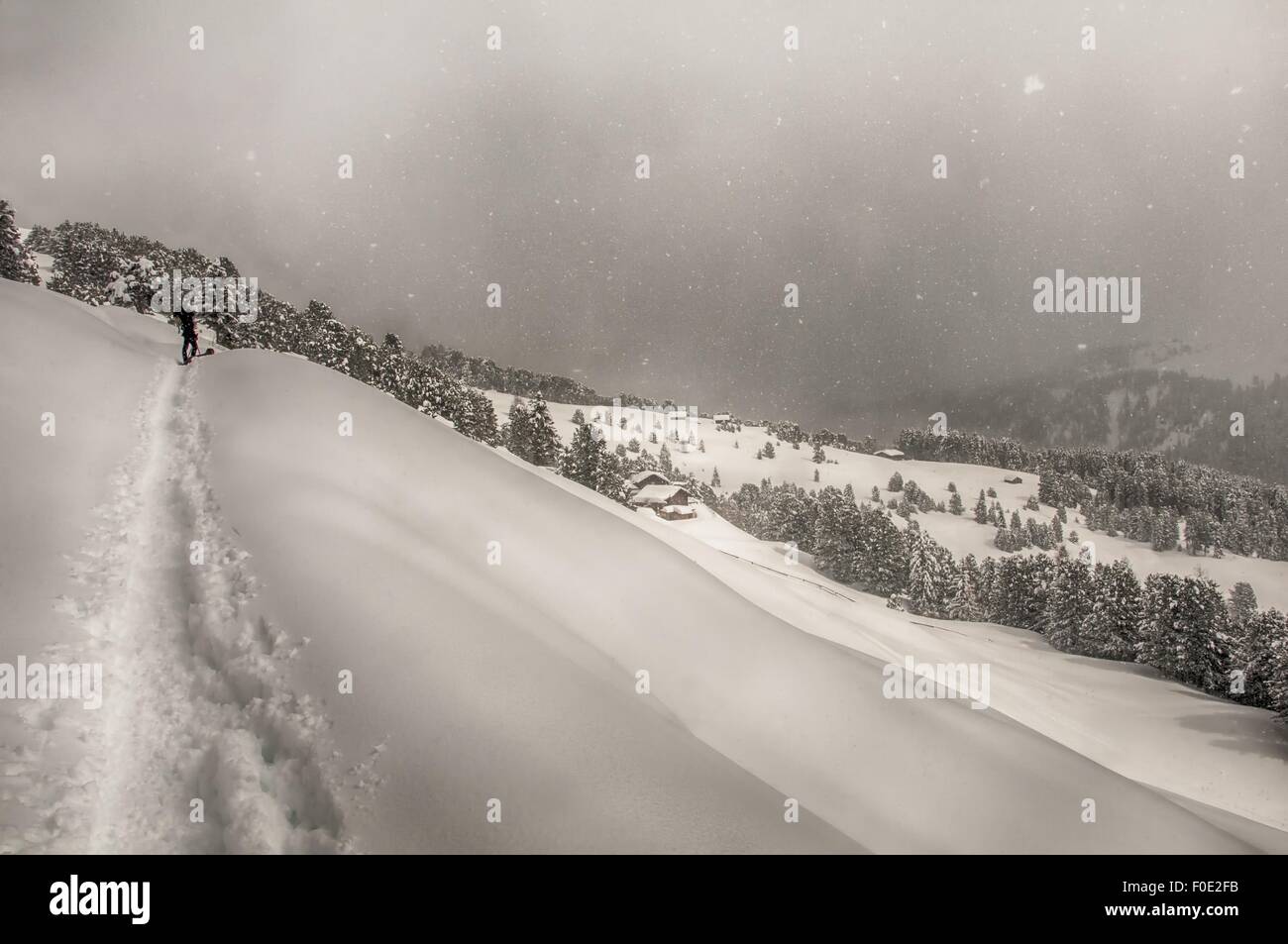 Schatzer hutte hi-res stock photography and images - Alamy