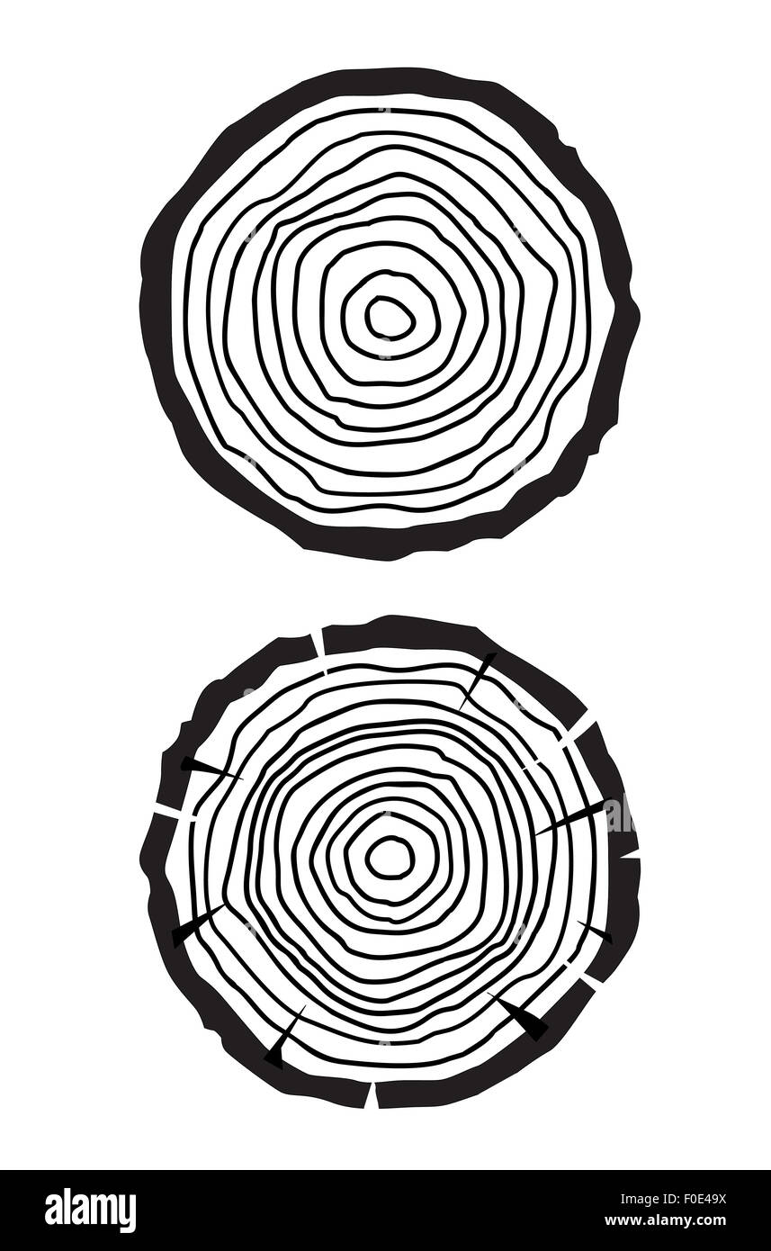 Tree years Cut Out Stock Images & Pictures - Alamy