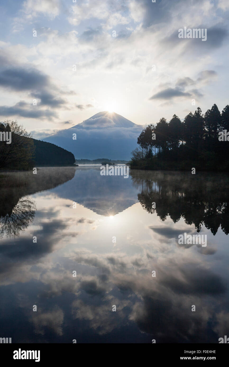 Tanuki High Resolution Stock Photography and Images - Alamy