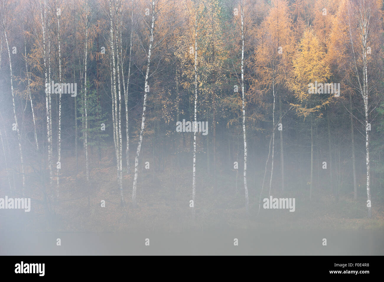 Lipa lake hi-res stock photography and images - Alamy