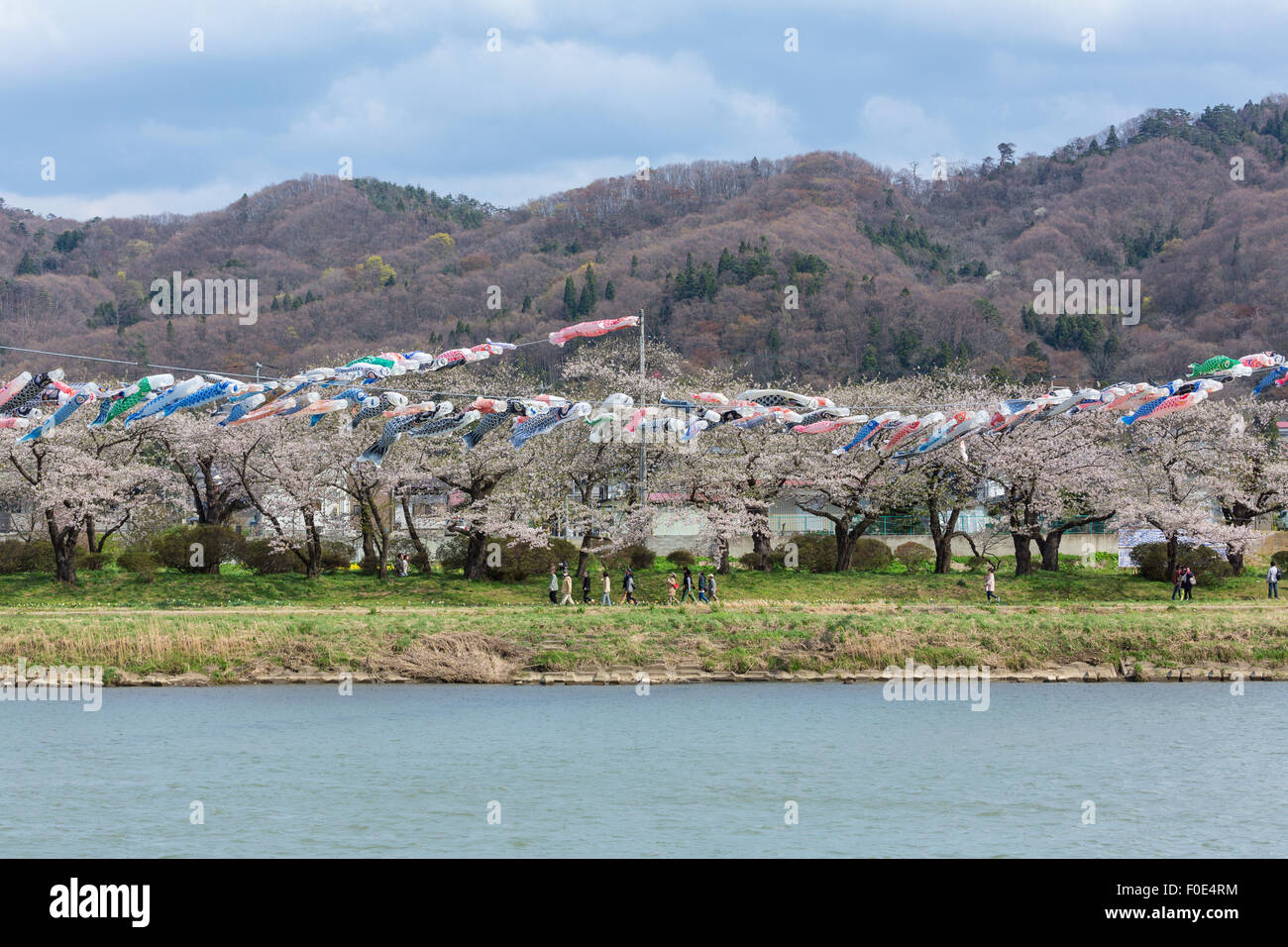 Koinobori wind socks in Iwate, Japan Stock Photo - Alamy