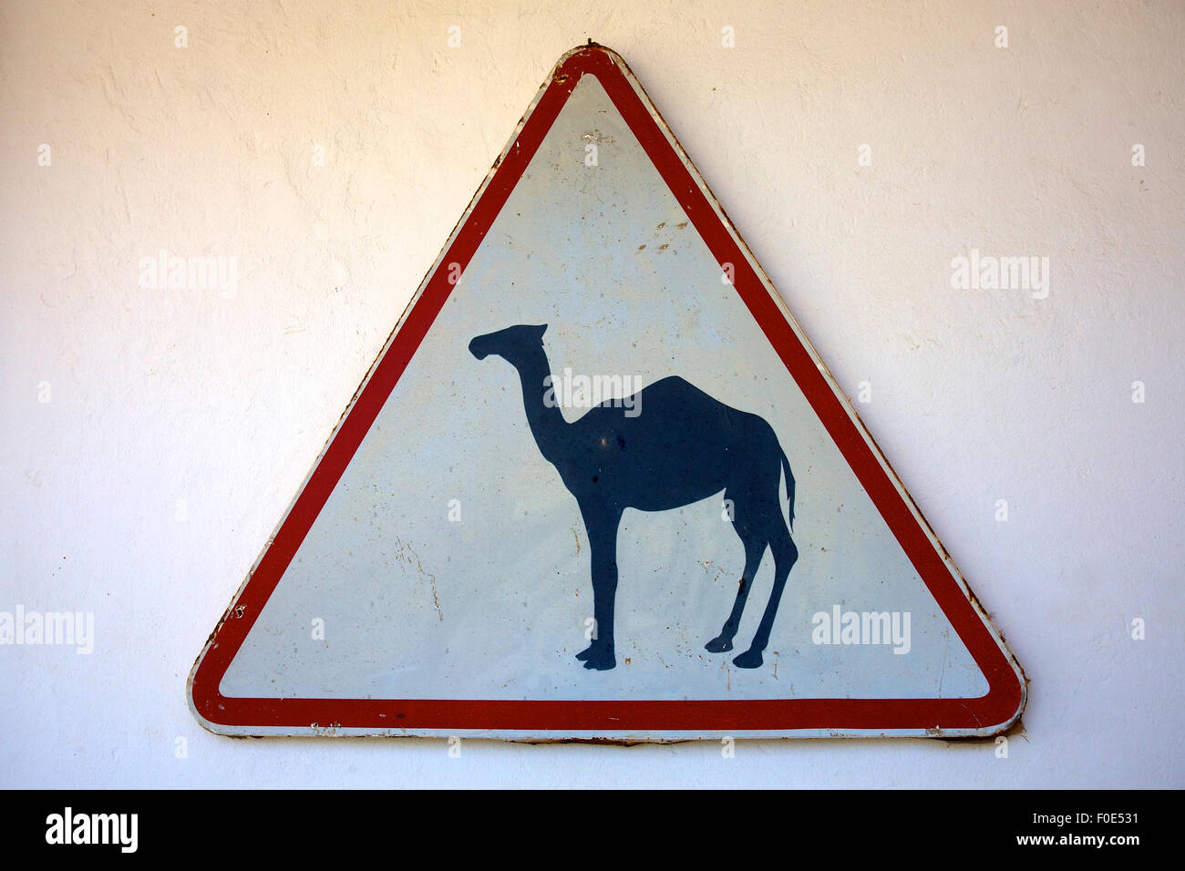Camel crossing sign on white background Stock Photo - Alamy