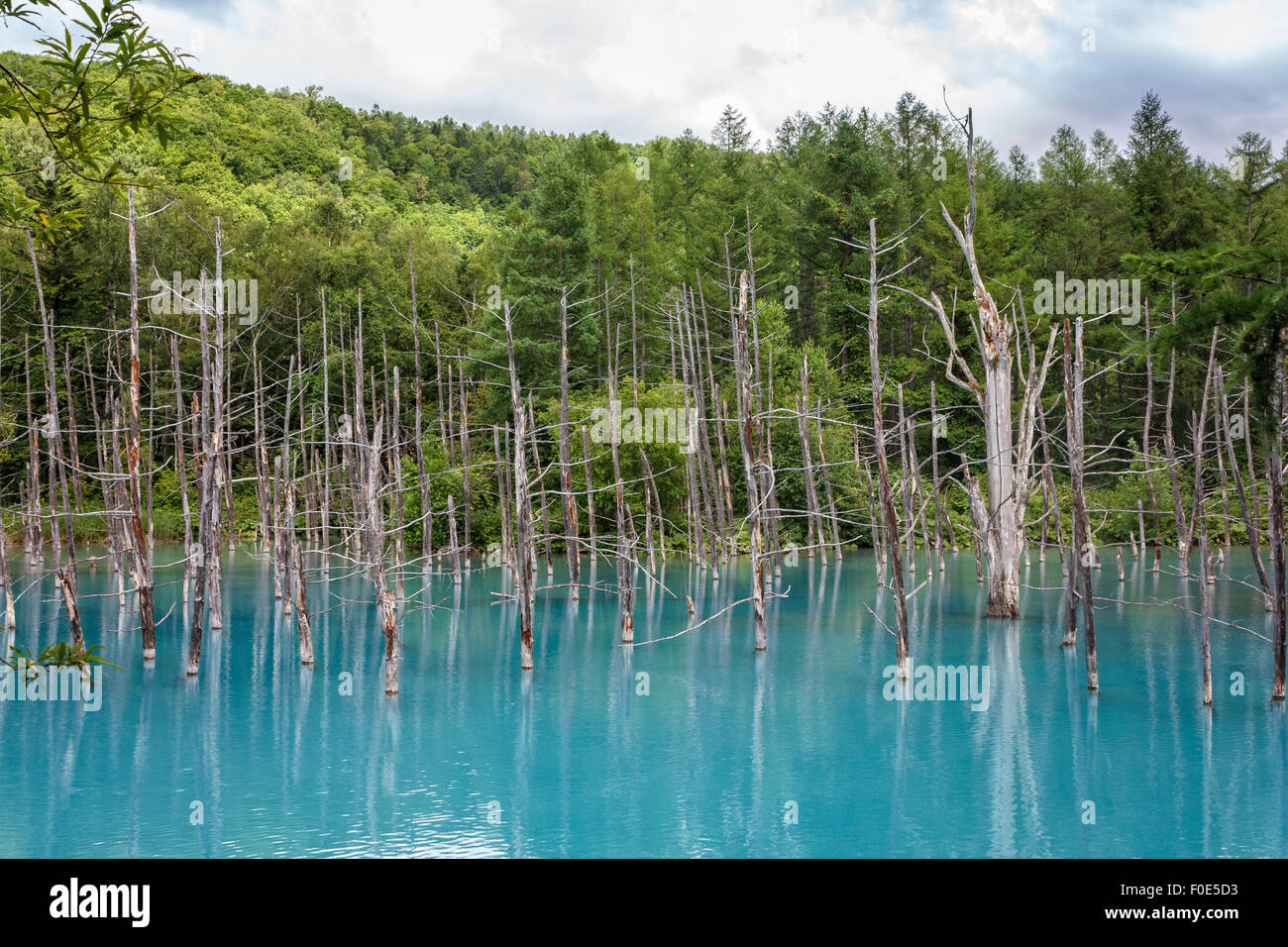 Shirogane hi-res stock photography and images - Alamy