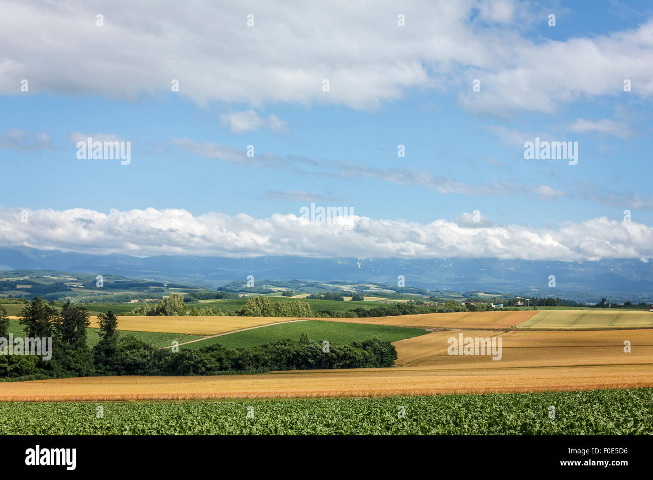 Patchwork hi-res stock photography and images - Alamy