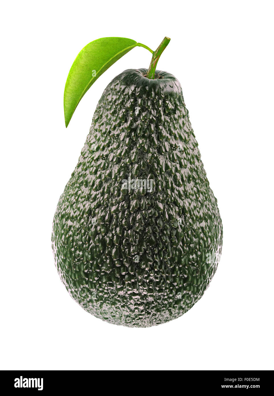 Avocado single fruit hi-res stock photography and images - Alamy