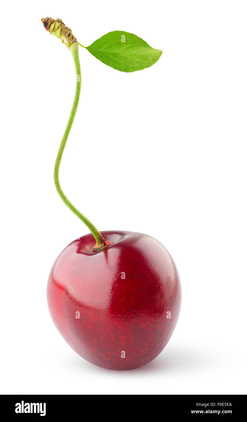 Juicy sweet cherry berry Cut Out Stock Images & Pictures - Alamy